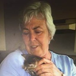 Krista Kaiser's Instagram, Twitter & Facebook on IDCrawl